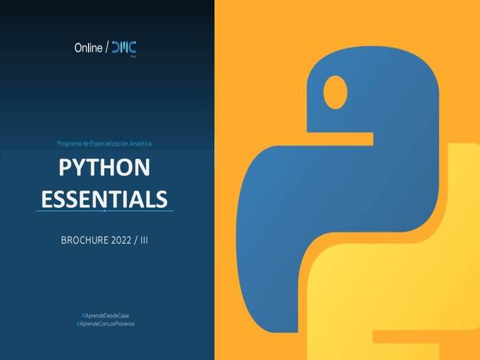 Curso en Pythons Essentials - DMC