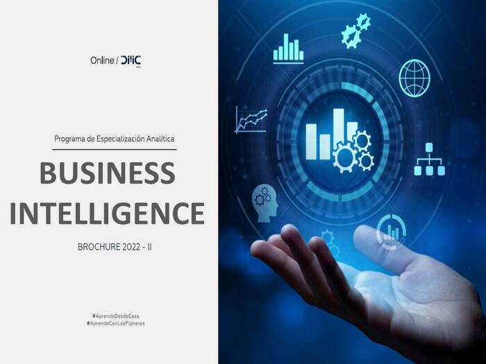 Curso en Business Intelligence - DMC