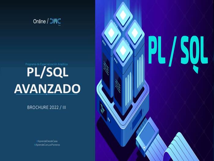 Curso en PL/SQL Nivel Avanzado - DMC